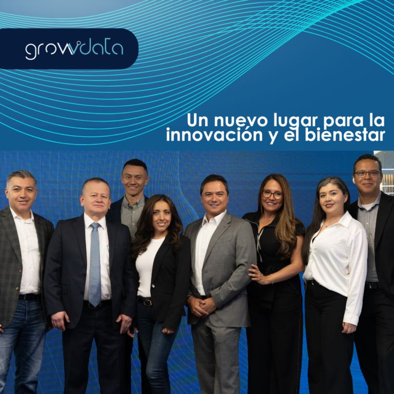 Servicios de consultoría en TI | GrowData